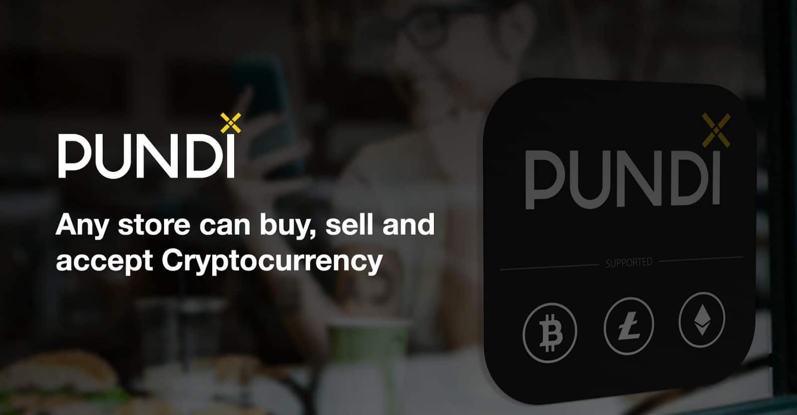 ارز دیجیتال PUNDIX چیست؟ آشنایی با ارز دیجیتال پاندی ایکس