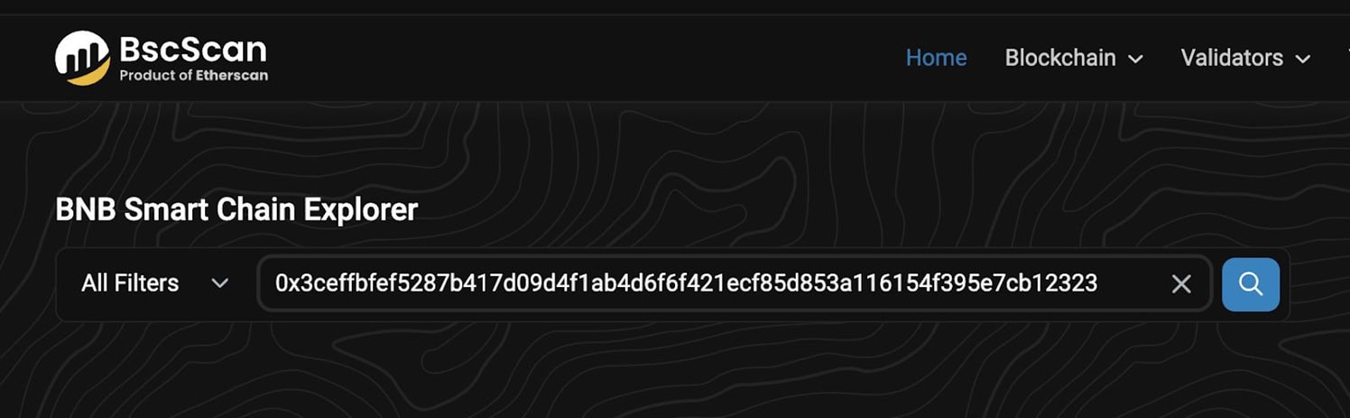 سایت BscScan چیست؟ آموزش ردیابی تراکنش‌های بایننس اسمارت چین